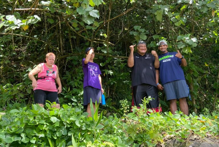 American Samoa - LDAHI